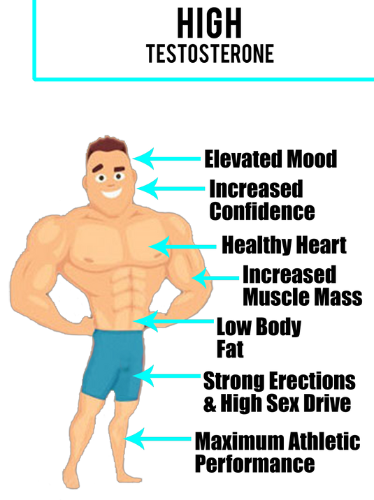 Men's Testosterone Replacement Therapy | Synergistic Labs & HRT